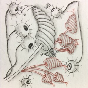 Why I Tangle – TangleSXM